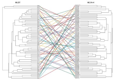 comparison of multilocus sequence typing mlst and 4 locus multilocus download scientific