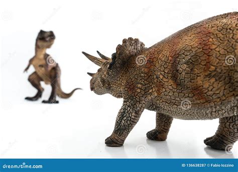 Tyrannosaurus Rex Fighting Versus Triceratops On White Background Stock