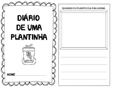 Diário da Profa Glauce O ensino de Ciências e a