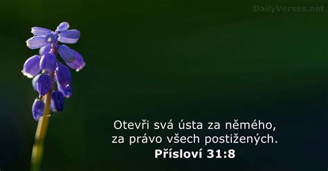 24 června 2024 Biblický verš dne Přísloví 31 8 DailyVerses net