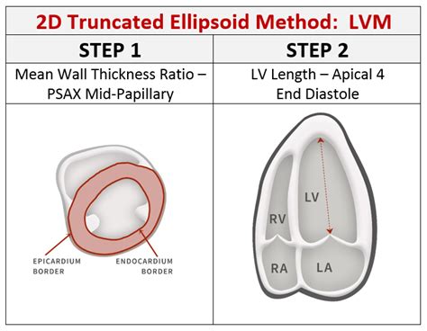 Lv Mass Measurement 2d Echo IUCN Water