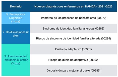 El diagnóstico enfermero Clasificación de NANDA I 2021 2023