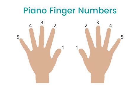 G Major Scale On The Piano Notes Fingerings More