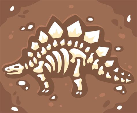 Stegosaurus Fossil Vector Vector Art Graphics Freevector