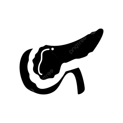 Pancreas Vector Design Images Pancreas Icon For Your Project Project