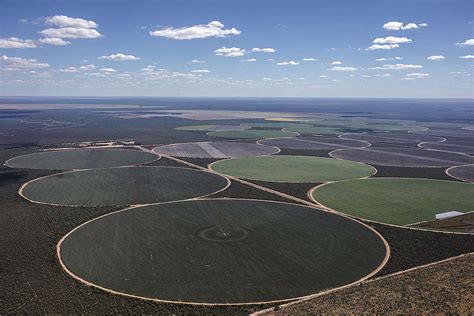 Matopiba bate recorde histórico de desmatamento no Cerrado