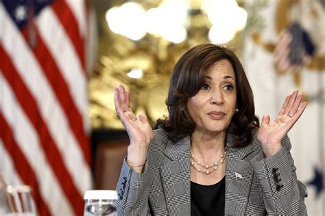 Kamala Harris Approval Rating Britta Sarajane
