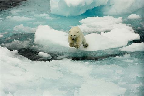 10 imágenes que nos muestran los efectos del cambio climático