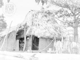 Repositorio Del IIS UNAM Casa Habitacion Chatina 0334