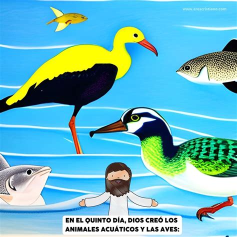 Historia bíblica para Niños La Creación