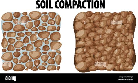 Illustrated Diagram Comparing Soil Compaction Density For Science