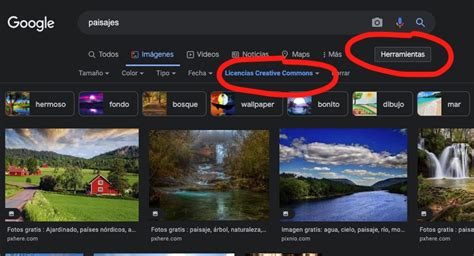 Cómo buscar imágenes gratis en Google en 2024 sin problemas legales
