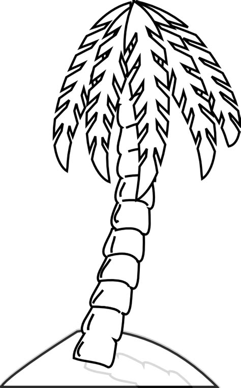 Palmier Coloriage Colorare Palmeras Palmiers Palme Cocotier Coloriages