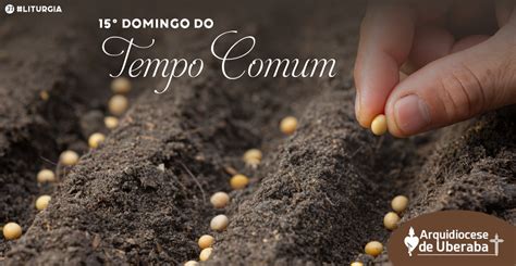 15º Domingo do Tempo Comum Arquidiocese de Uberaba