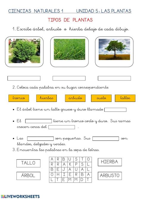 Ficha Online De Las Plantas Para Primero De Primaria Puedes Hacer Los