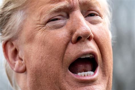 Donald Trump Mad Masque