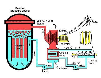 Nuclear Reactor Labeled Diagram