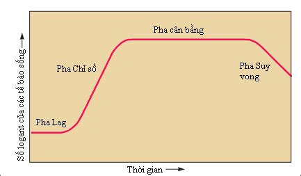 Đường Cong Sinh Trưởng Giải Mã và Ứng Dụng Quan Trọng Trong Nghiên Cứu
