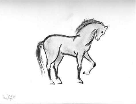 100 Disegni A Matita Facili E Molto Belli Tutorial E Passaggi Da Seguire