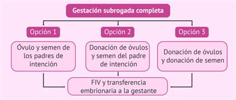 Cuáles son los diferentes tipos de gestación subrogada
