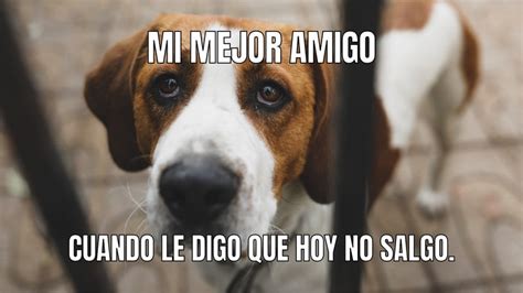 Plantillas Para Crear Los Mejores Memes Gratis Canva