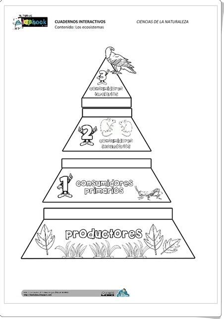 Los Ecosistemas Fichas Recortables De Ciencias Naturales De Primaria