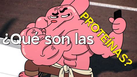 Qu Son Las Prote Nas Y Cu L Es Su Funci N Lib Ask