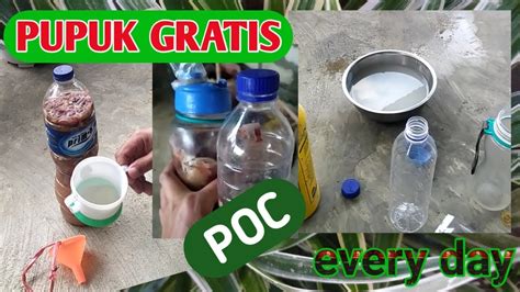 Cara Membuat Pupuk Cair Organik Dari Air Cucian Beras Dan Kulit Bawang