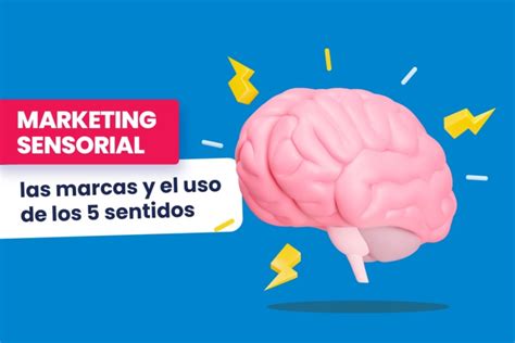 Marketing sensorial qué es ventajas y ejemplos Dobuss