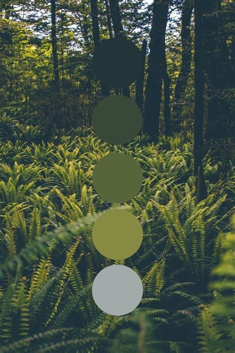 30 Aesthetic Color Palettes For Your Art With Codes Included Artofit