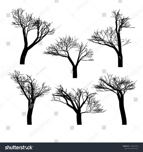 Set Black Naked Trees Silhouette Set Stock Vector Royalty Free