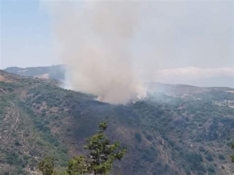 Hatay da makilik alanda çıkan yangın söndürüldü