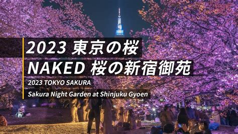 2023 NAKED桜の新宿御苑 お散歩 TOKYO Sakura Night Garden at Shinjuku Gyoen 4K