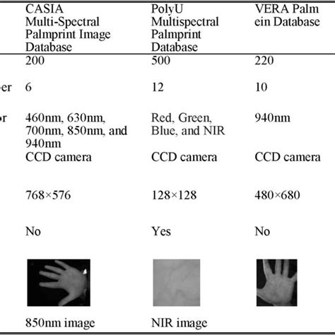 pdf a review of palm vein recognition