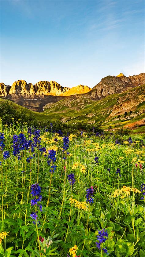High Altitude American Basin With Wildflowers San Juan Mountains