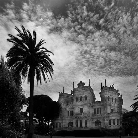 Fotos gratis árbol en blanco y negro cielo fotografía palacio