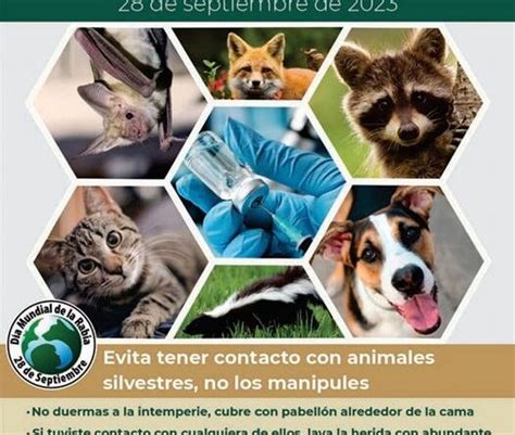28 DE SEPTIEMBRE DÍA MUNDIAL CONTRA LA RABIA CODIGONOTICIAGS