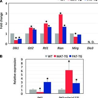 Dlk1 Dio3 Paternally Imprinted Locus On Mouse Chromosome 12 From The