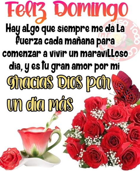 Mejores Im Genes Para Feliz Domingo Imagenesmuybonitas Net