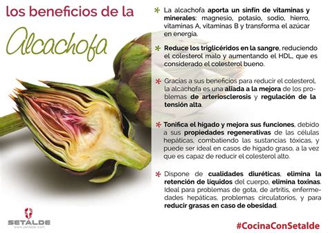 Los Beneficios De La Alcachofa CocinaConSetalde Te Para Bajar De