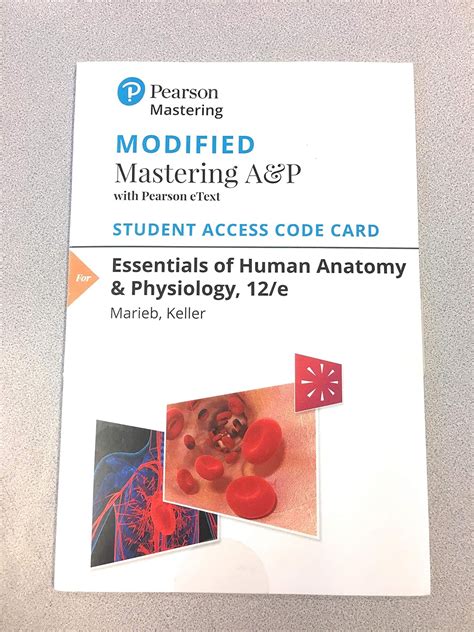 Amazon Essentials Of Human Anatomy Physiology Modified