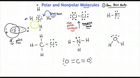 Difference Between Polar And Nonpolar Examples