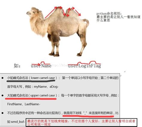 python标识符、命名规则及关键字（含笔记） 标识符python csdn博客