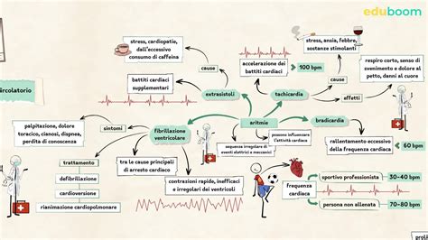 Le Patologie Dell Apparato Cardiocircolatorio Seconda Parte Scienze