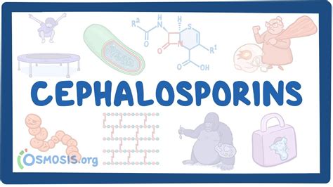 Cell Wall Synthesis Inhibitors Cephalosporins Osmosis Video Library