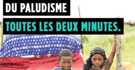 COMMUNICATION Lutte contre le paludisme la légende maladroite d un