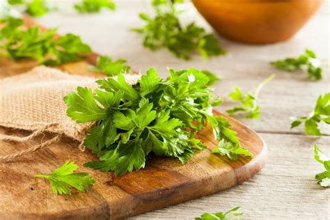 Perejil propiedades para qué sirve beneficios y cómo hacer el té