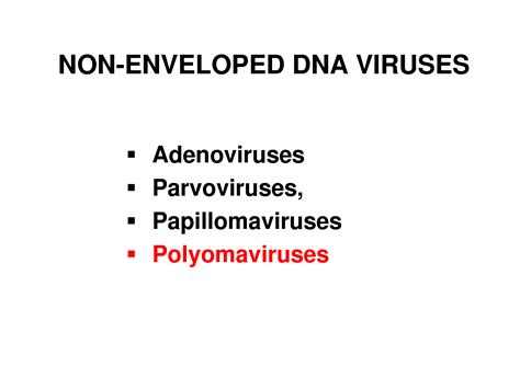 Solution Adenoviruses Parvoviruses Papillomavirus Studypool