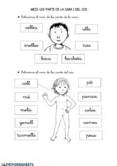 MEDI Les parts de la cara i del cos Idioma catalán Curso nivel 1r