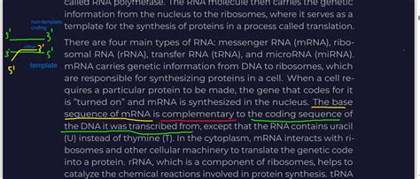 DNA Coding Strand Vs Template Strand Practice Question Solving